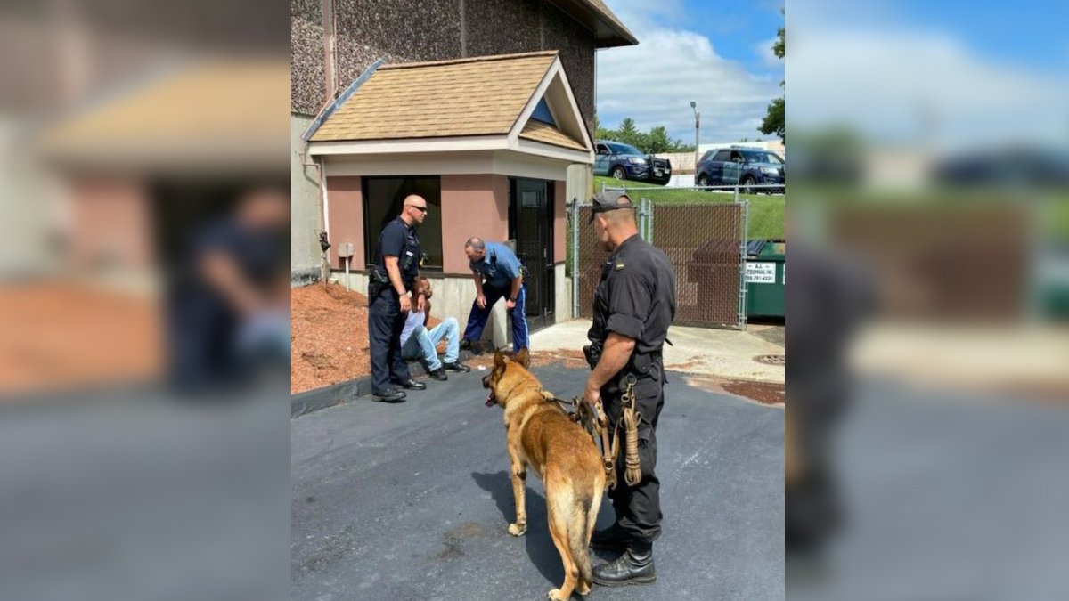 State police K9 credited with tracking down suspect after crash in ...