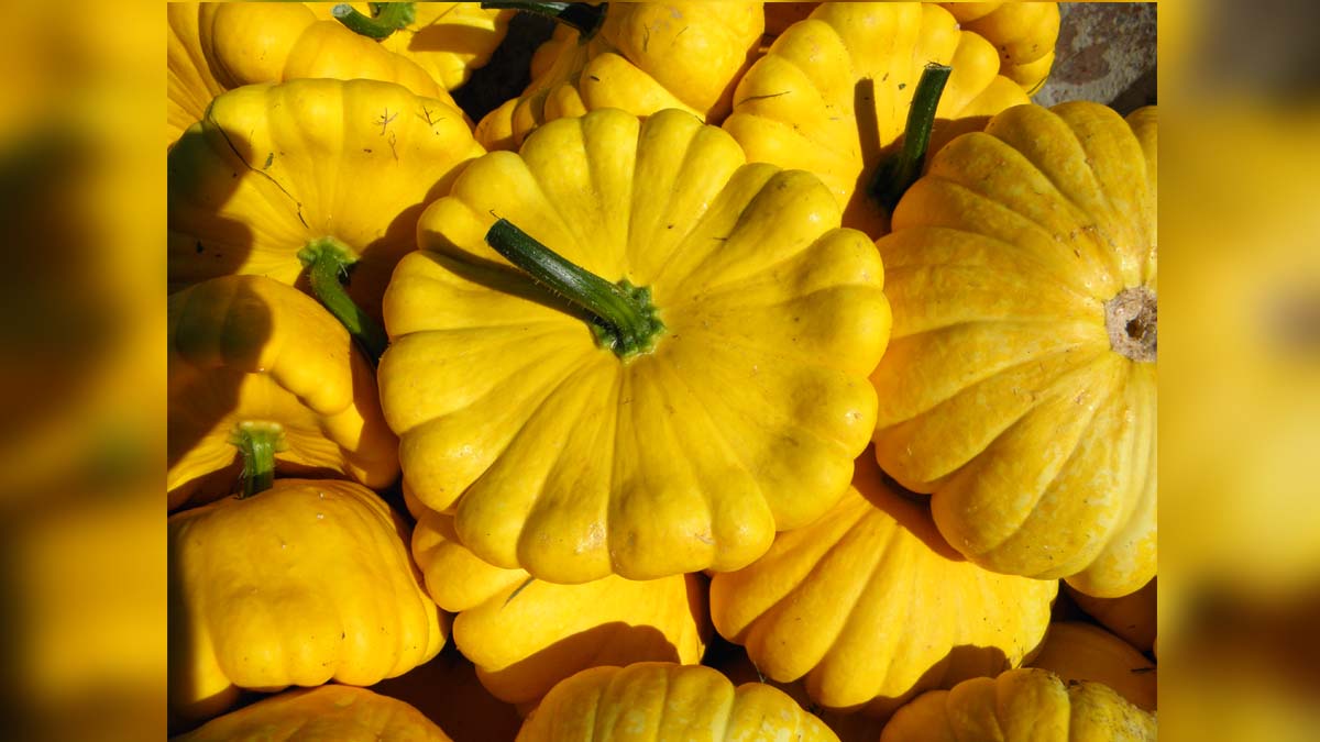 Meet the ‘seed detective’ on a mission to save our rarest vegetables ...