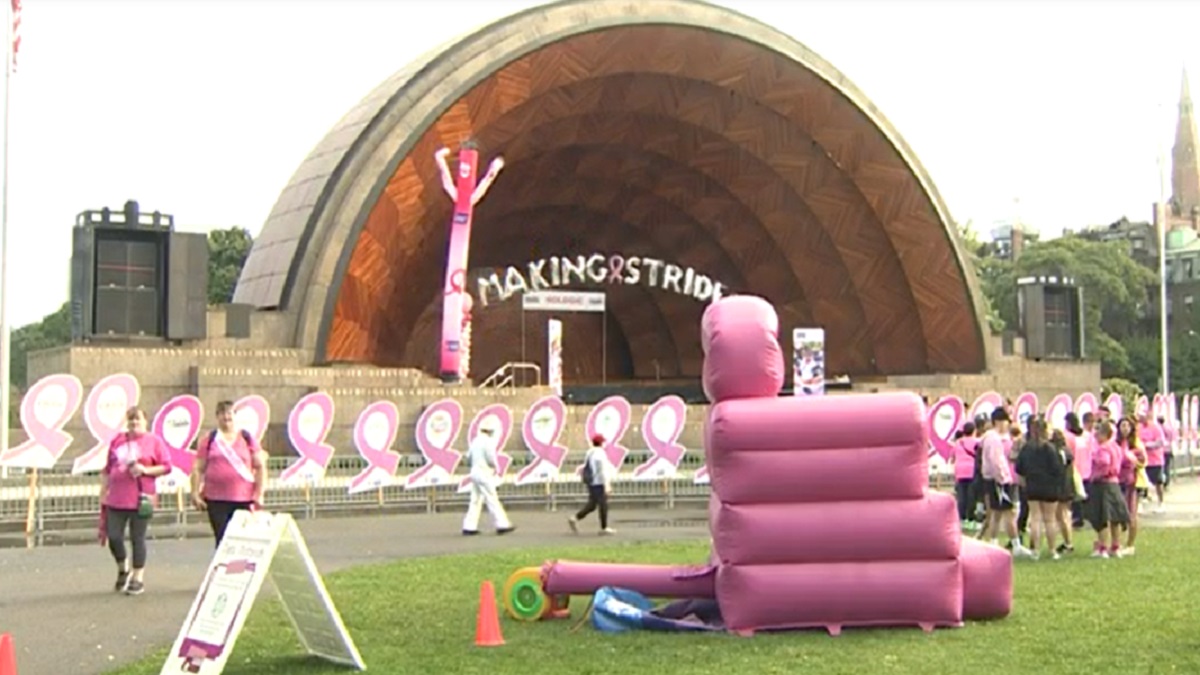 Thousands walk Esplanade to combat breast cancer - Boston News, Weather ...
