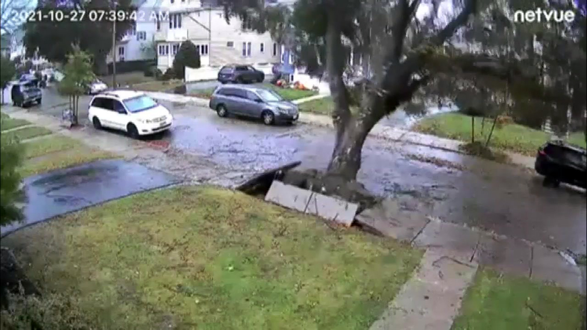 WATCH: Home surveillance video shows moment wind gust ripped giant tree ...