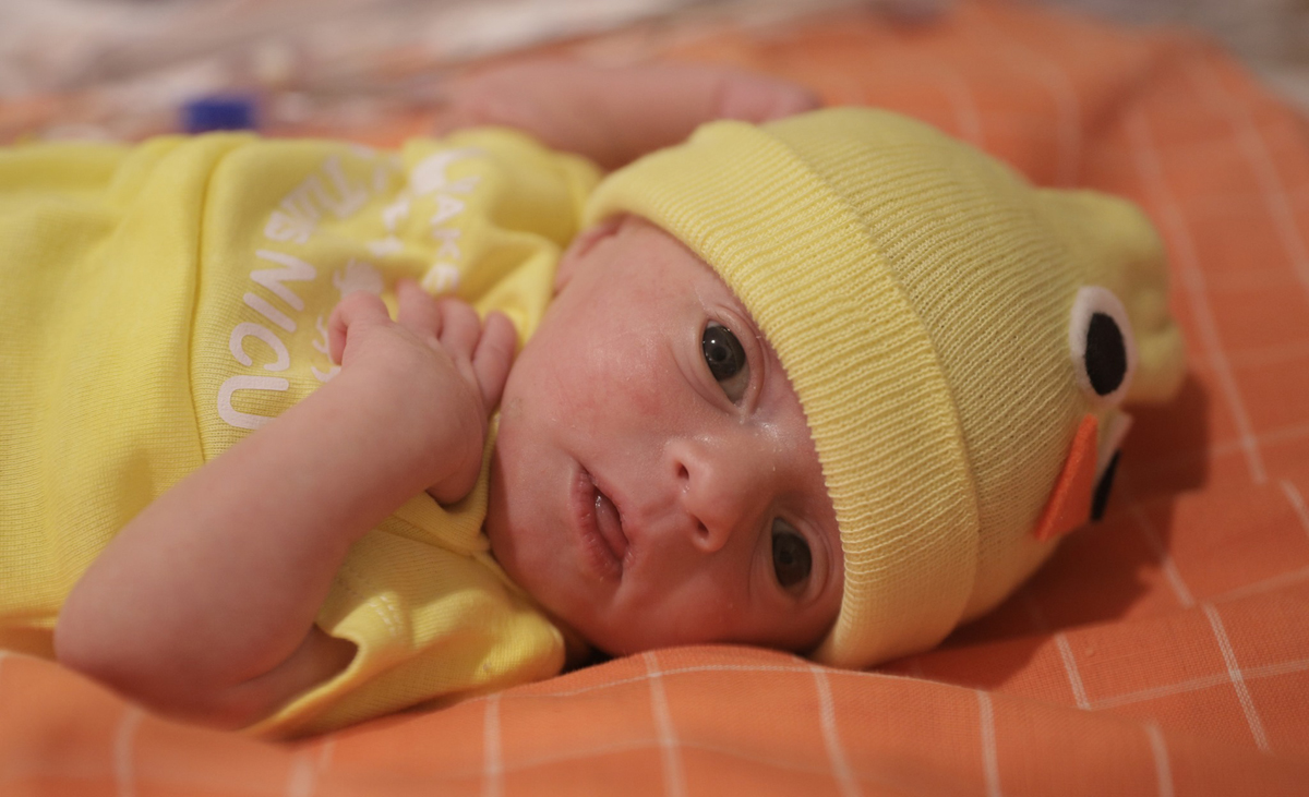 Photos: NICU babies at Boston hospital dressed in ‘Make Way for ...