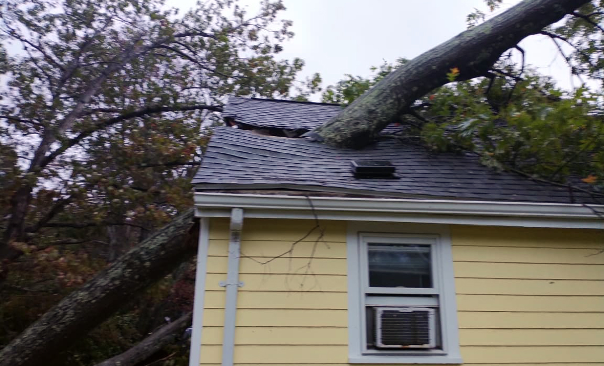 ‘Everybody screamed’: Toppled tree slices through roof of home in ...
