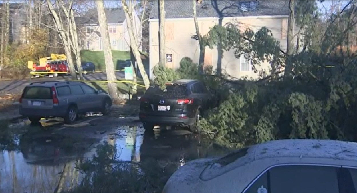 ‘It just exploded’: Massive pine outside Ashland home destroyed by ...