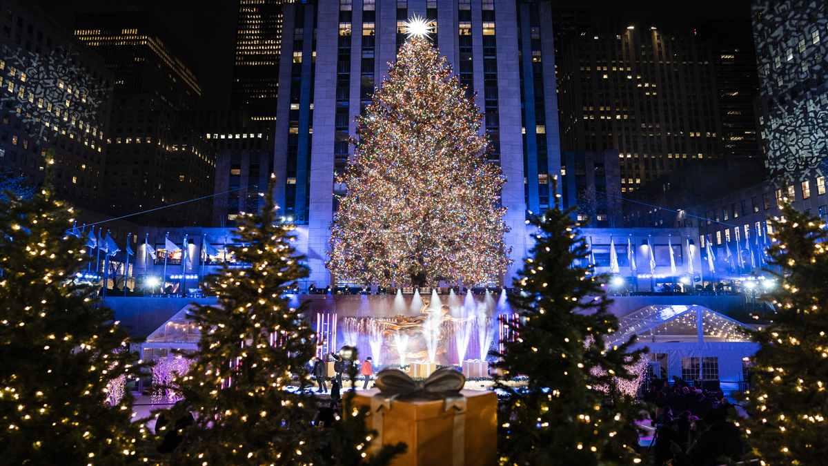 A majestic Norway spruce from upstate New York chosen as Rockefeller ...