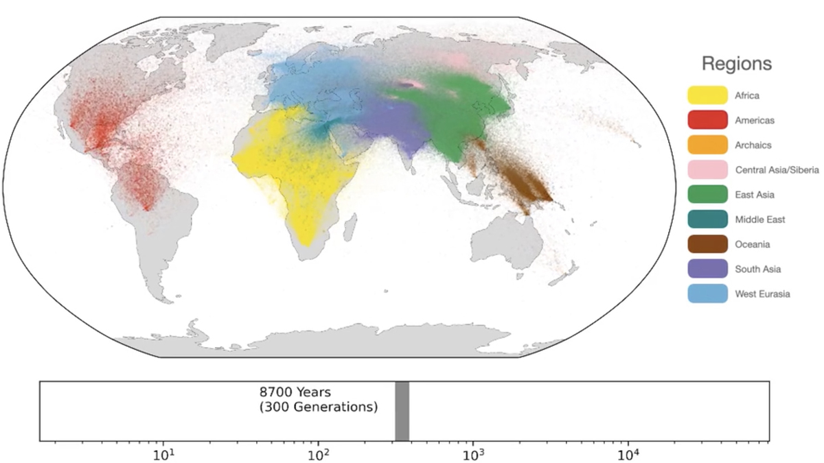 DNA reveals biggest-ever human family tree, dating back 100,000 years ...