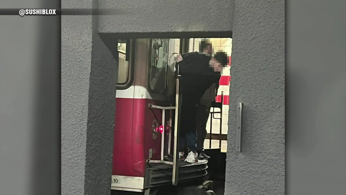 ‘What were they thinking’: Teen snaps photos of 2 boys climbing on back ...