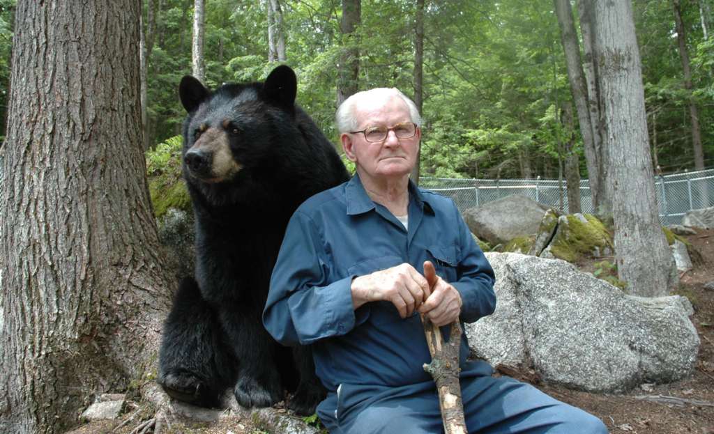 Victoria the bear, who danced at NH theme park, dies at 32 - Boston ...