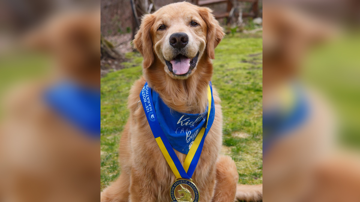 ‘We are so touched’: Runner gifts 2021 race medal to Spencer the Boston ...