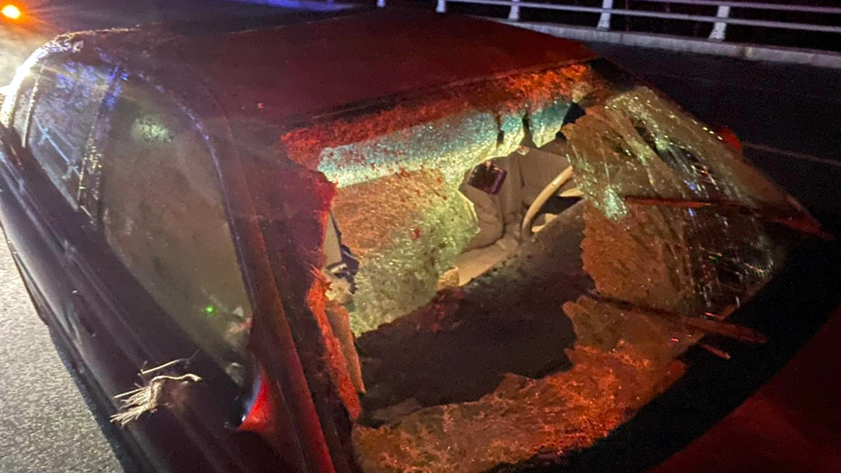 Driver injured, moose killed in collision on NH highway - Boston News ...