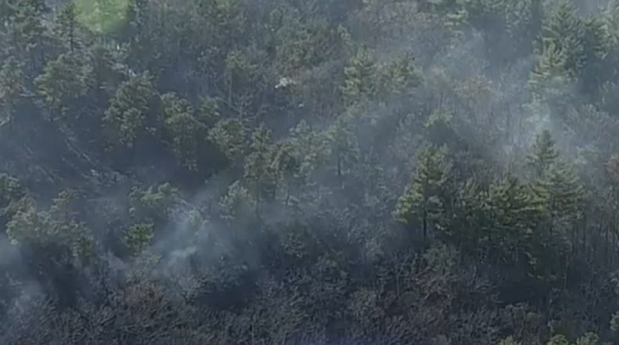 Crews battle large brush fire at Blue Hills Reservation - Boston News ...