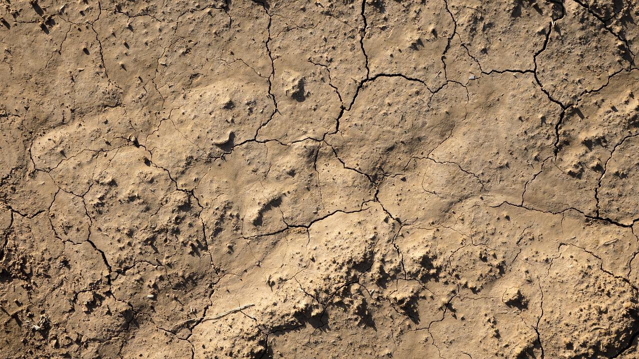 Early human fossils found in cave are a million years older than ...