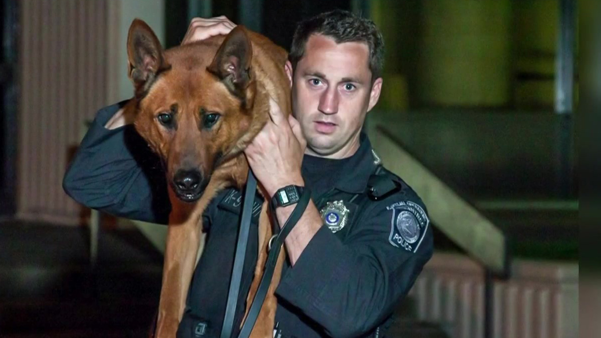 Braintree K9 ‘Kitt’ remembered with fundraiser for new police dog aid ...
