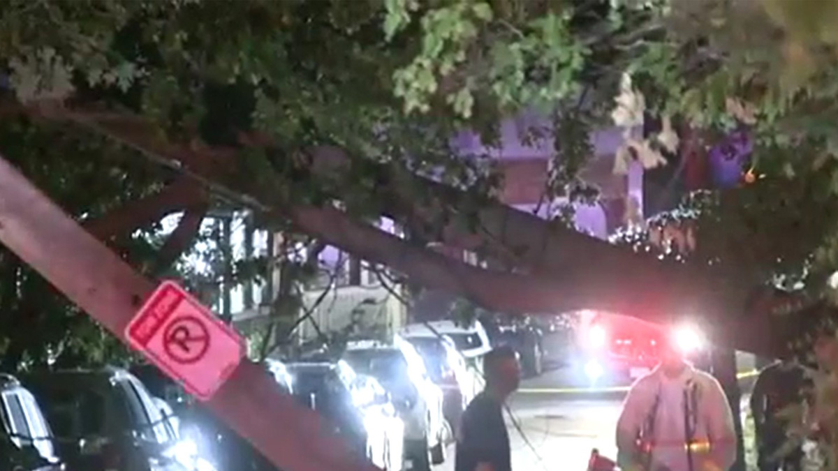 Utility pole and tree fall on home in Roxbury - Boston News, Weather ...