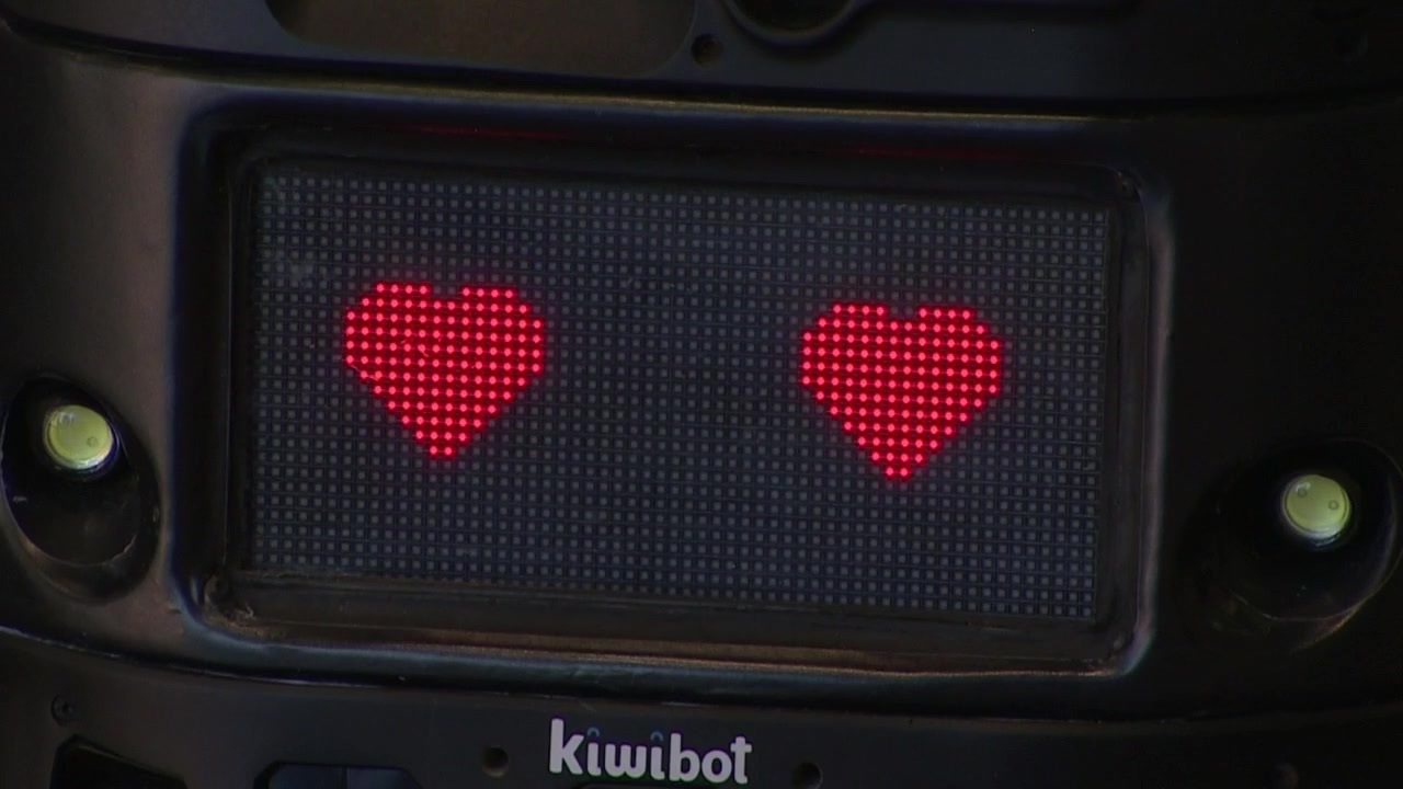 Framingham State rolls out food delivery robots - Boston News, Weather ...