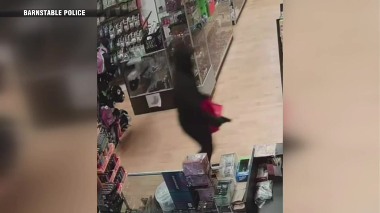 Police search for man who robbed Hyannis smoke shop - Boston News ...