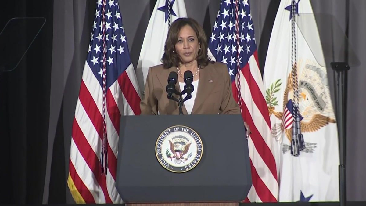 Harris campaign plans a call with supporters as Democratic delegates ...