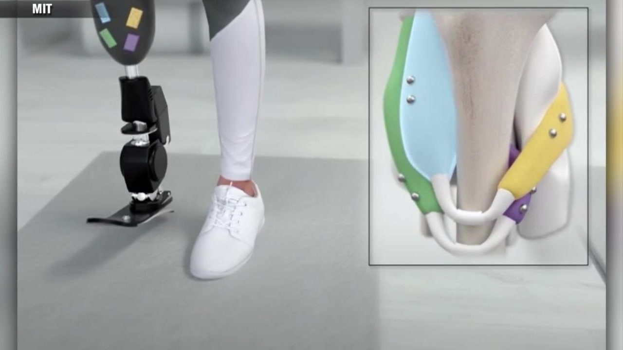 MIT researchers seek FDA approval to test new technology on people with ...