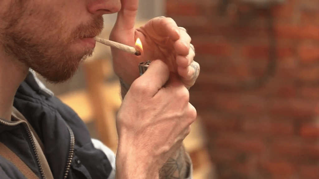 Marijuana smoke harms lungs in tobacco smokers, study finds – Boston ... Marijuana smoke harms lungs in tobacco smokers, study finds – Boston ...