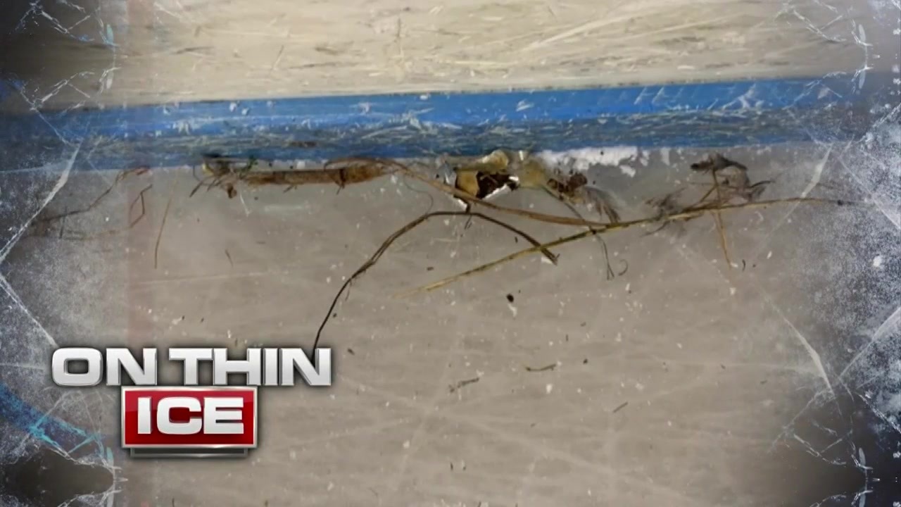 ‘It’s disgusting, frankly’: Belmont ice rink closes for weekend, re ...