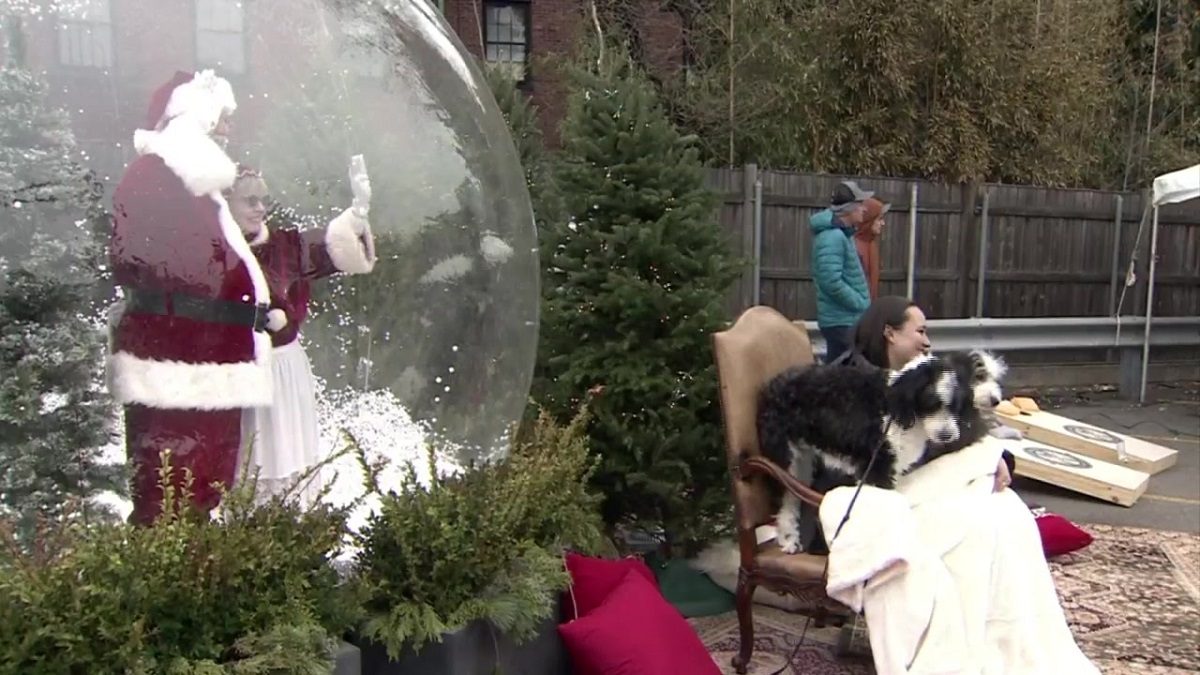 Pets take holiday photos with Santa at Boston Veterinary Clinic’s ...