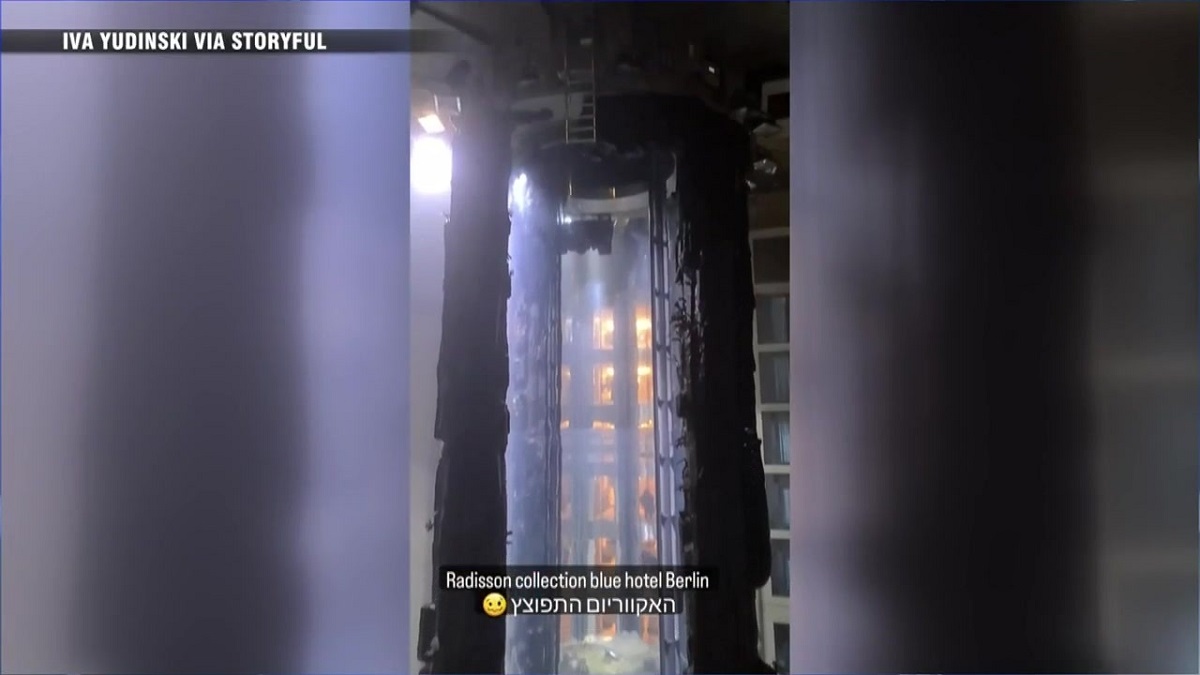 Giant aquarium housing 1,500 fish bursts in Berlin, injuring 2 people ...