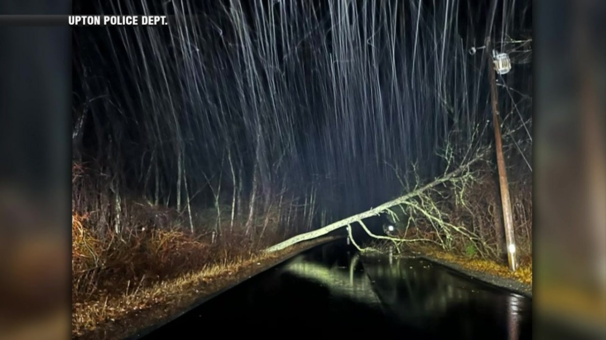 Major storm downs trees, power lines across Massachusetts - Boston News ...
