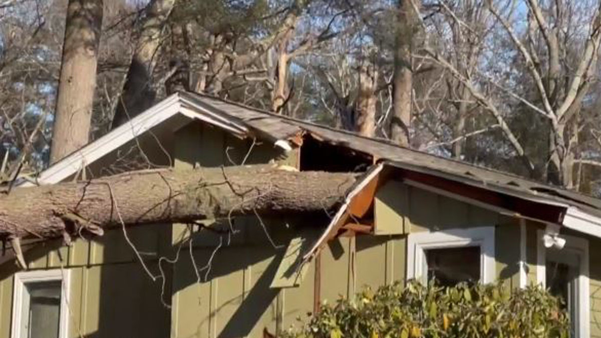 ‘It felt like a bomb’: Huge tree topples onto home in Beverly - Boston ...