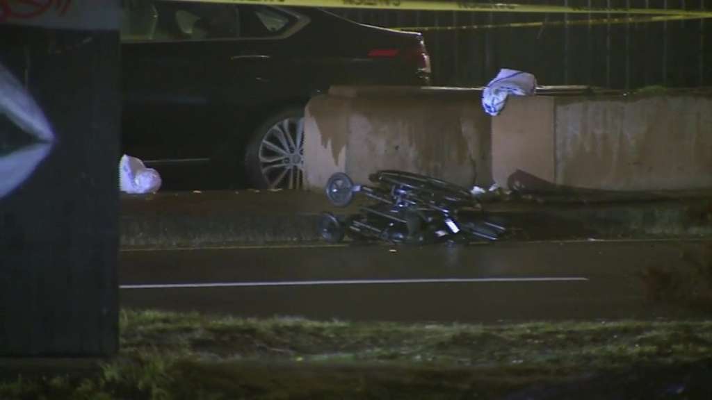 Police identify vehicle of interest in hit-and-run crash that killed a ...