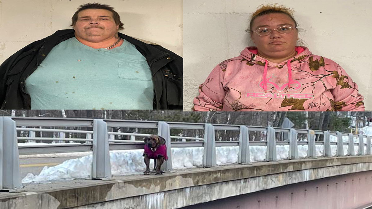 2 NH residents charged with abandoning dog found on bridge - Boston ...