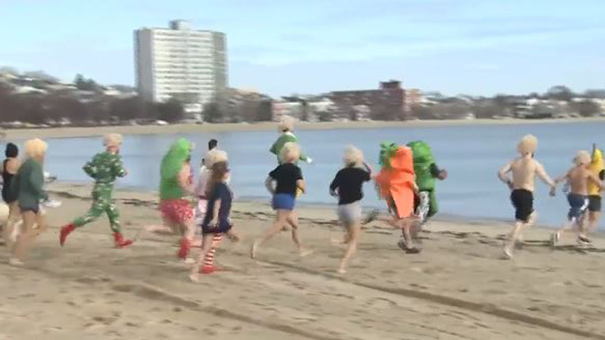 Crowd takes polar plunge in Boston to raise money for ALS research ...