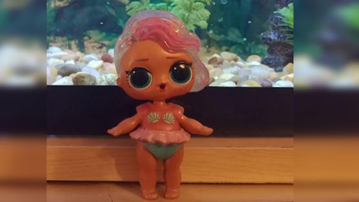 Acton firefighters rescue beloved doll after little girl drops it in ...