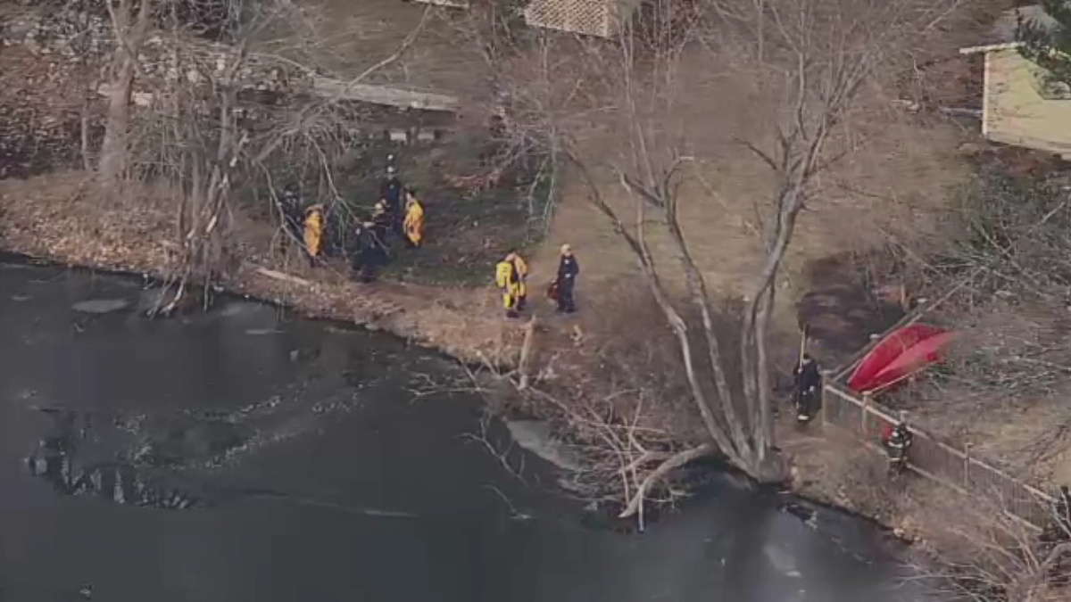 UPDATE: 29-year-old man located after reported missing by Arlington ...