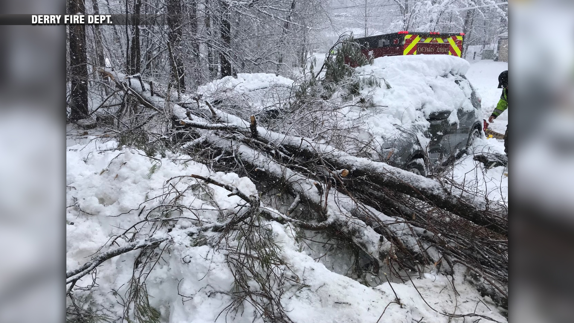 Child struck by falling tree in Derry, NH - Boston News, Weather ...
