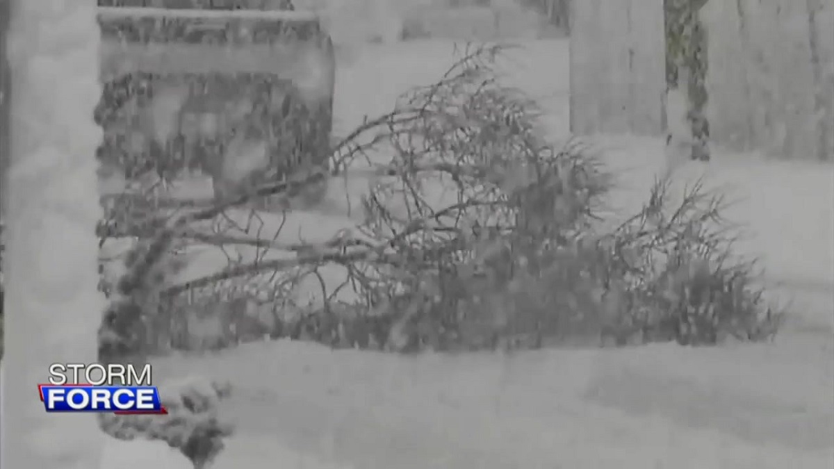 WATCH: Heavy snow brings down branches in Pepperell as nor’easter bears ...