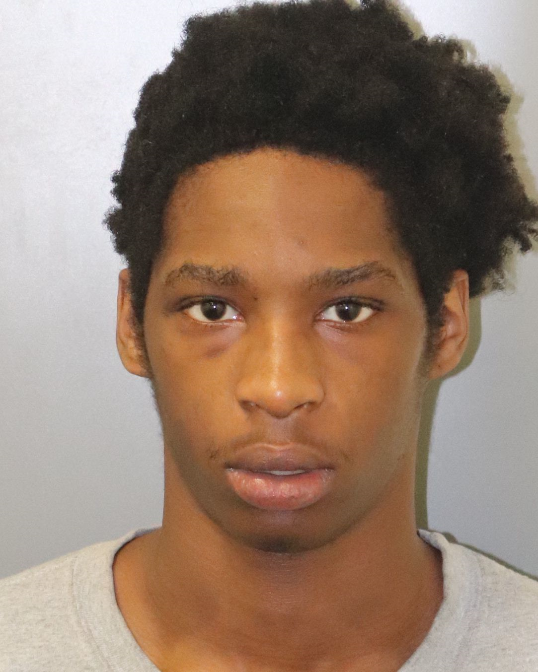 A teenager and a 12-year-old were arrested in teens’ triple homicide in ...