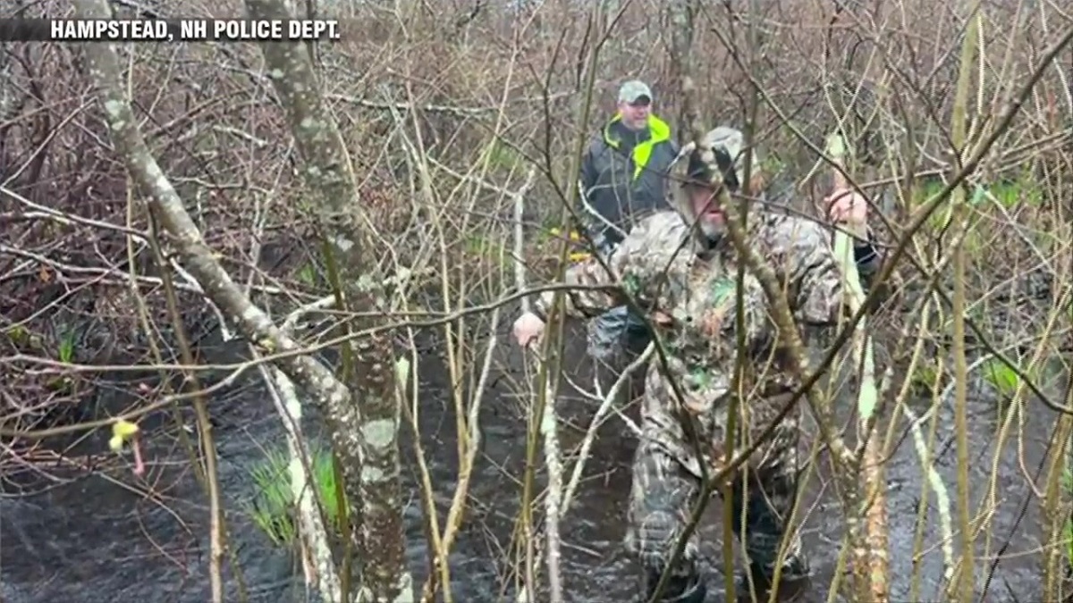 Police: Skeletal remains found in swamp believed to be missing ...