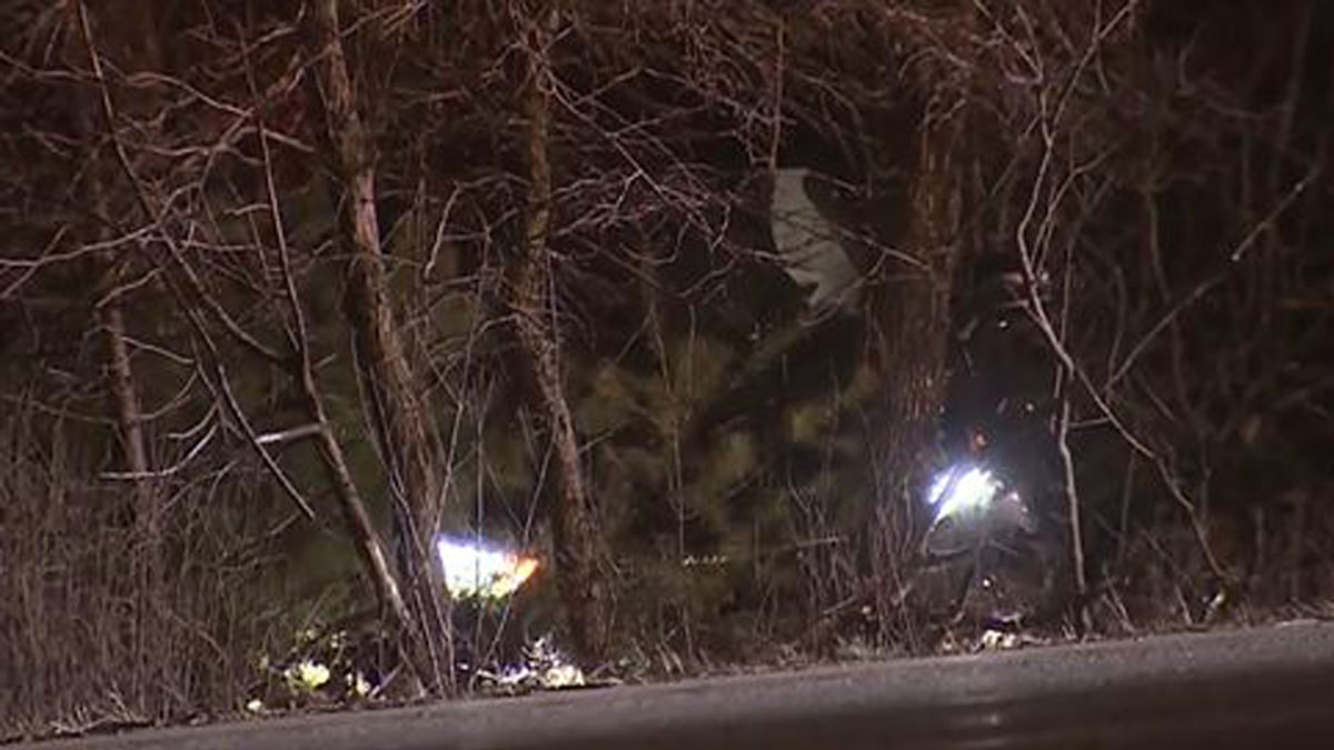 Driver Flees Traffic Stop Crashes On Route 24 In Braintree Boston