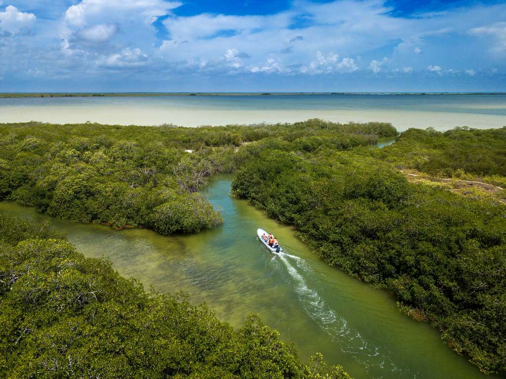 Climate change is making our oceans change color, new research finds ...