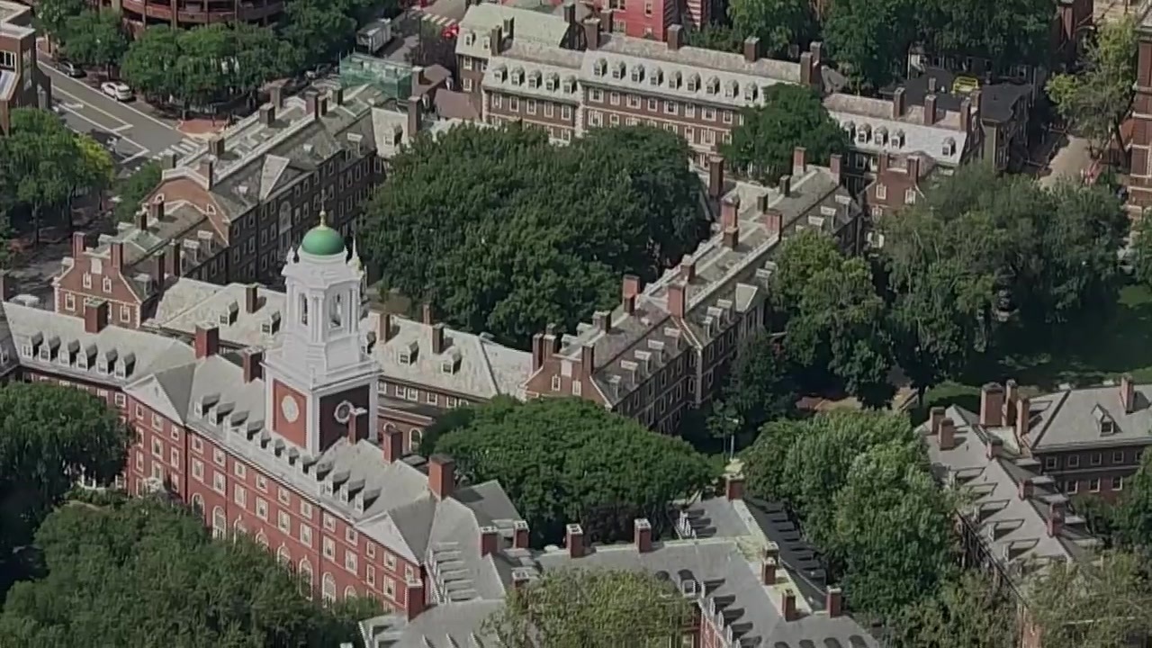 Harvard rebuffs protests and won’t remove Sackler name from two ...