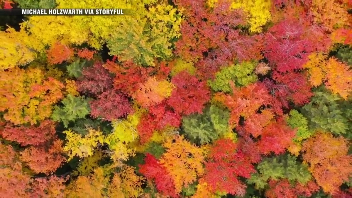 Fall foliage expert discusses expectations for 2023 fall season ...