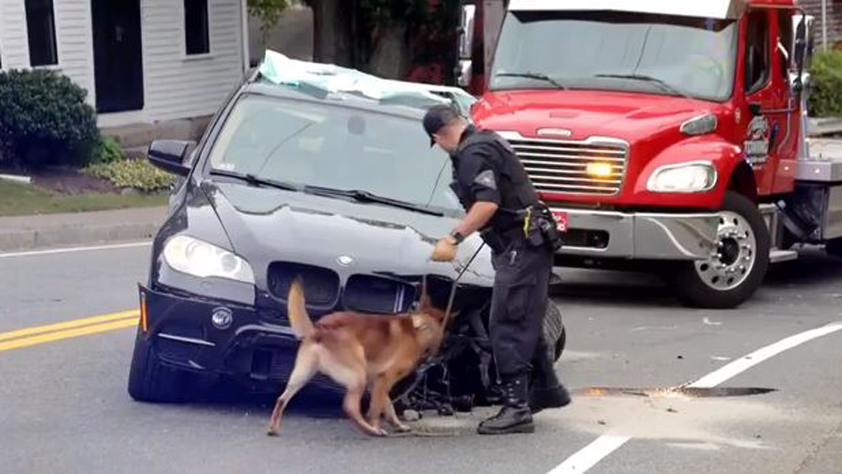 Police Armed Carjacking Suspect Taken Into Custody After Chase Ends In