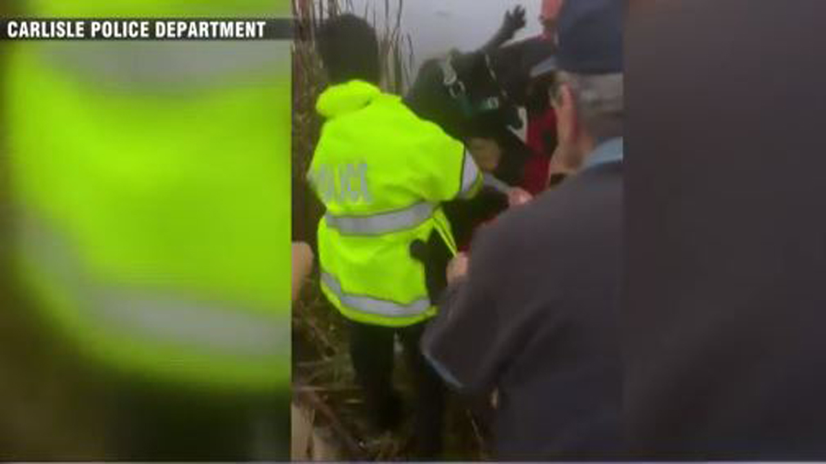WATCH: Emergency crews rush to rescue dog trapped in Carlisle cranberry ... WATCH: Emergency crews rush to rescue dog trapped in Carlisle cranberry ...