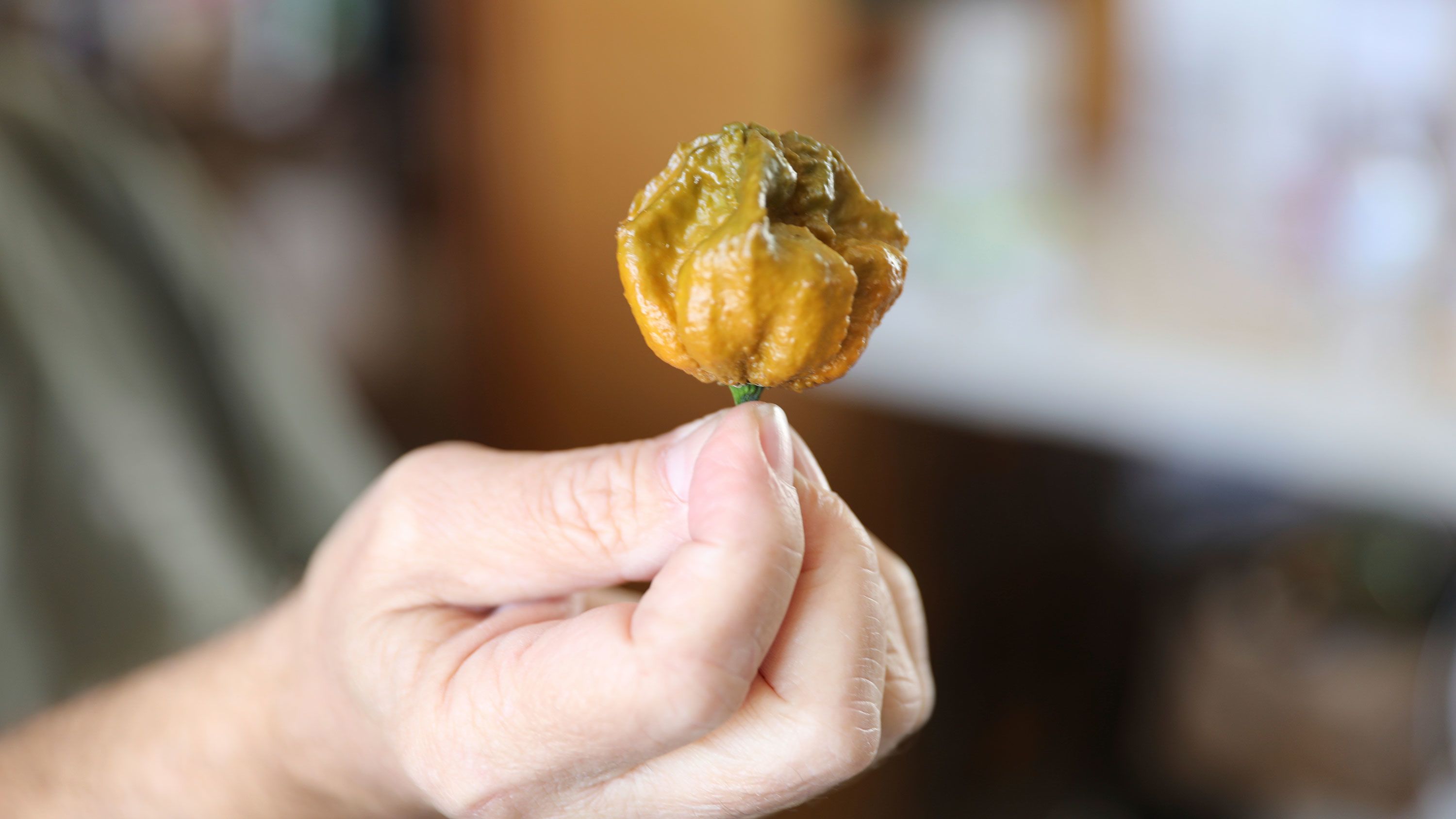 Guinness World Records declares Pepper X as world’s new hottest chili ...