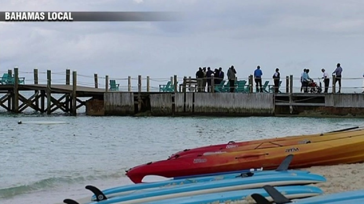 Boston woman killed in shark attack in Bahamas - Boston News, Weather ...