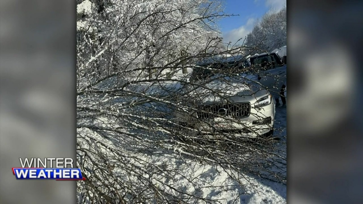Child suffers minor injuries after being hit by falling tree in Hudson ...