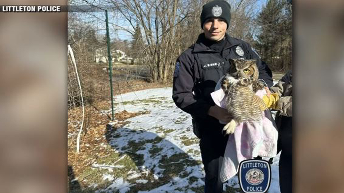LITTLETON, Mass. (WHDH) – Boston News, Weather, Sports | WHDH 7News