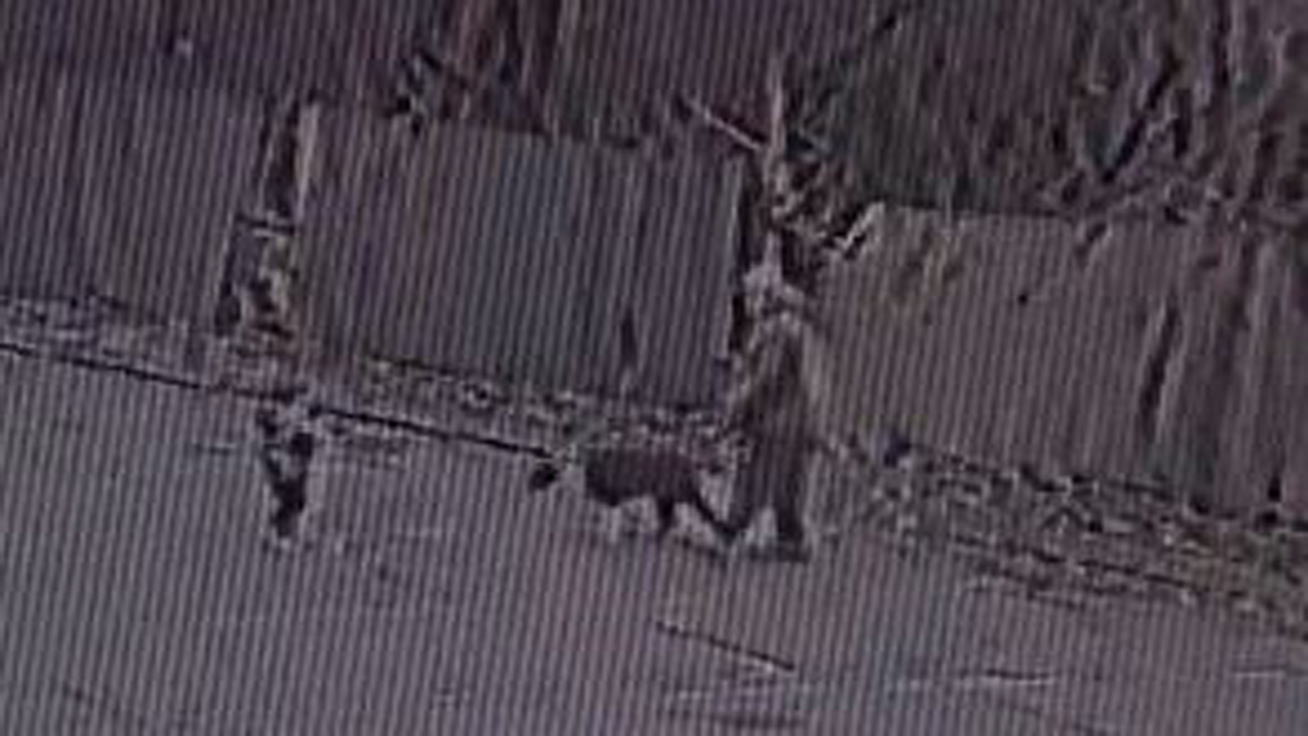 Local – Boston News, Weather, Sports | WHDH 7News