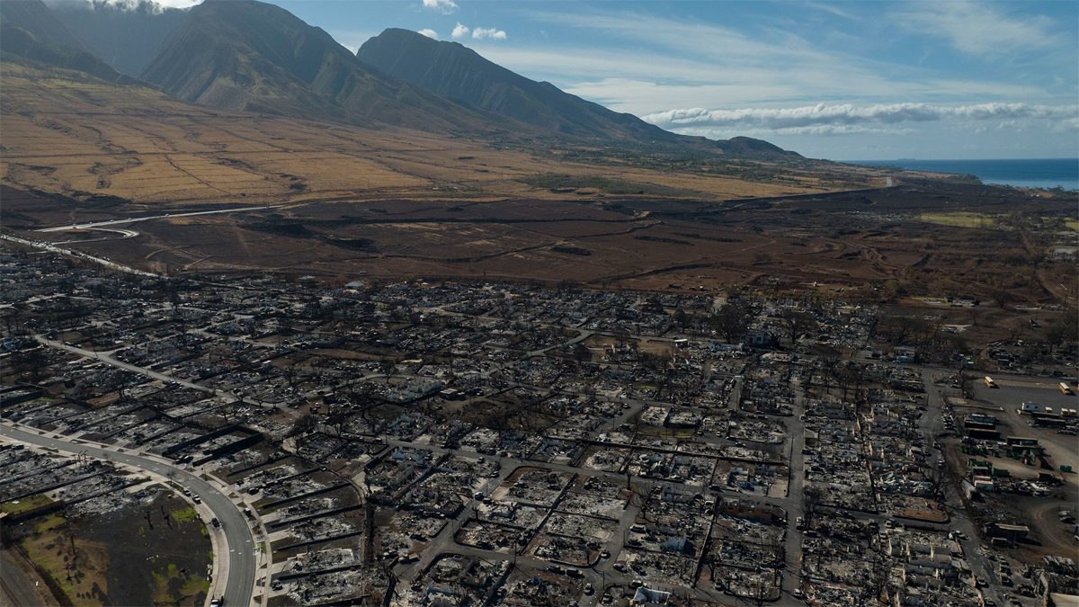 Maui wildfire report: Officials declined extra help before a deadly ...