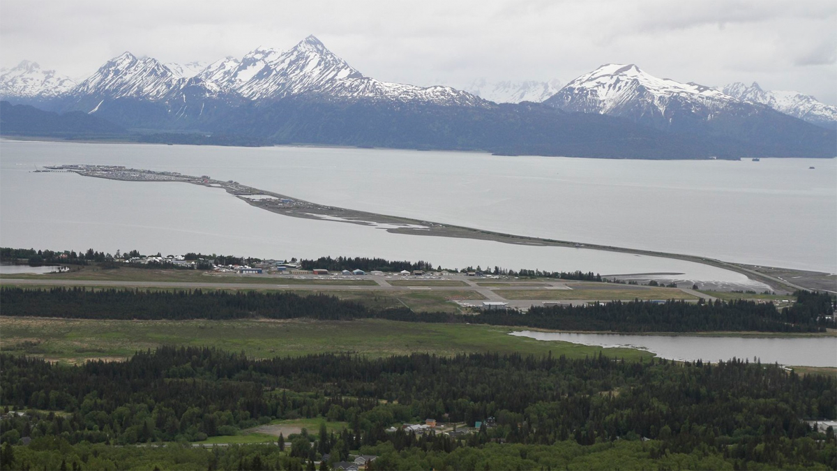 Moose kills Alaska man attempting to take photos of her newborn calves ...
