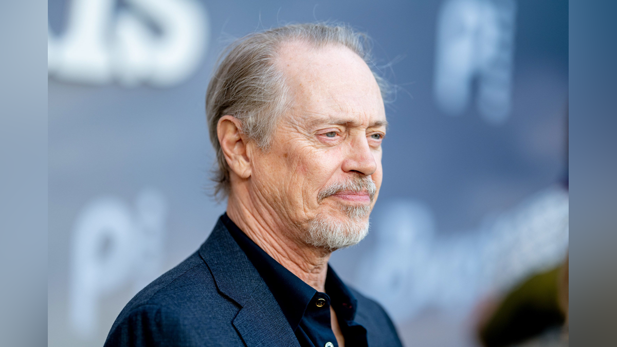Steve Buscemi punched in the face while walking in NYC - Boston News ...